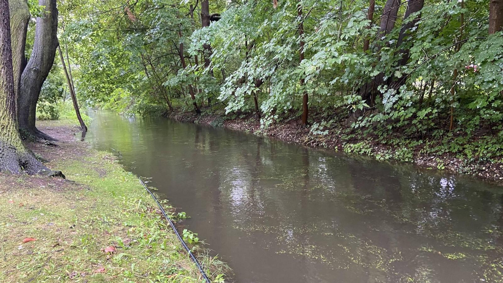 Dauerregen: Parthe übersteigt Warnstufe 2, Scheitel erreicht | Taucha ...